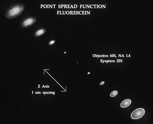 Point Spread Function | Cardiovascular Research Group